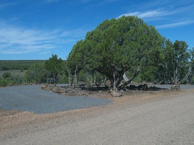 8285 Ridge Dr, Show Low, AZ 85901