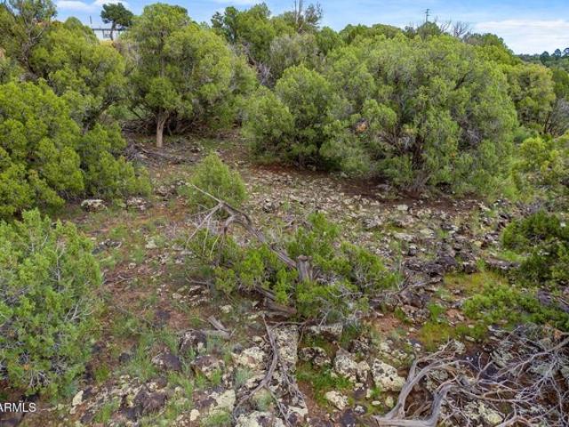 8281 Unit 11 and 8283 Ridge Dr, Show Low, AZ 85901