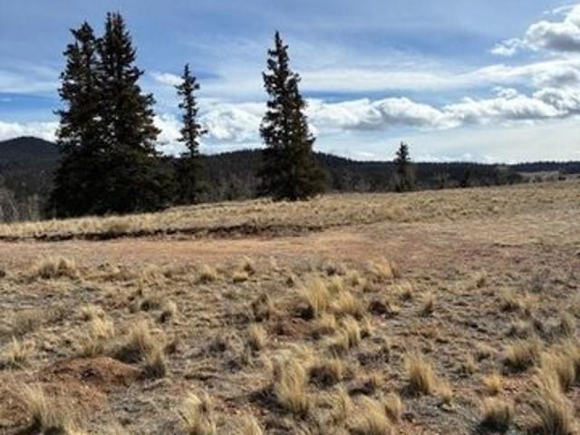 828 Gitche Goone Ln, Jefferson, CO 80456