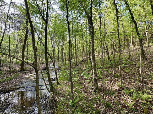 828 McCord Hollow Rd