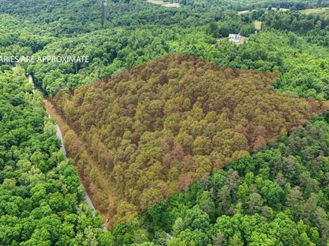 8295 State Highway 1003, Somerset, KY 42501