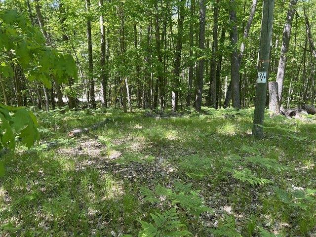 8297 Highland Trl Unit 349, Canadian Lakes, MI 49346