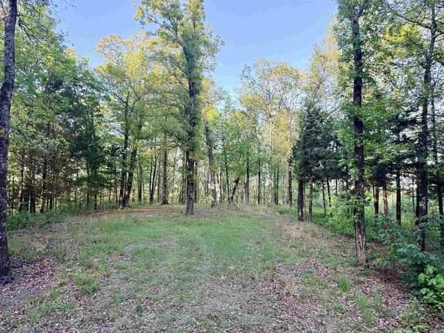 829 Long Branch Rd, Heber Springs, AR 72543