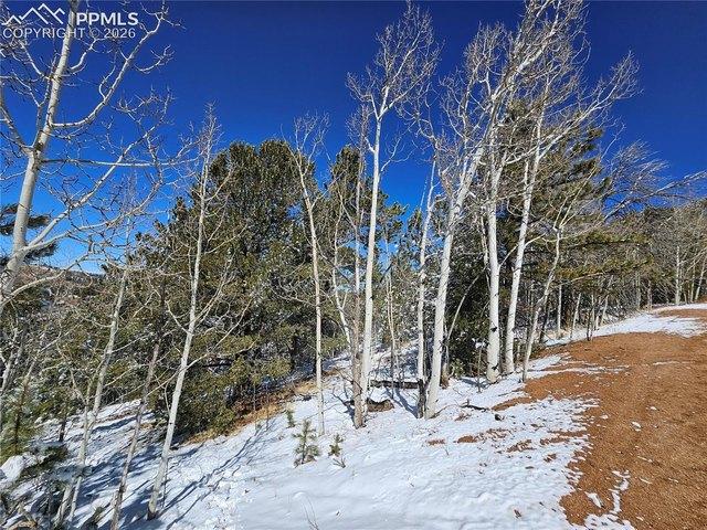 829 Princess Rd, Cripple Creek, CO 80813