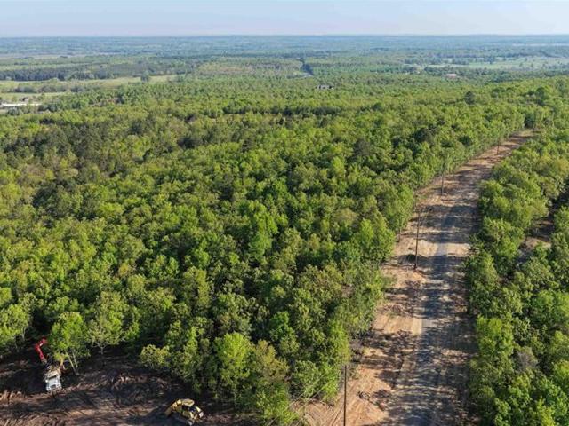 82 7 Lakes Ranch Blvd, Conway, AR 72023