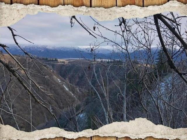 82 215 Alaska State Land, Homer, AK 99603