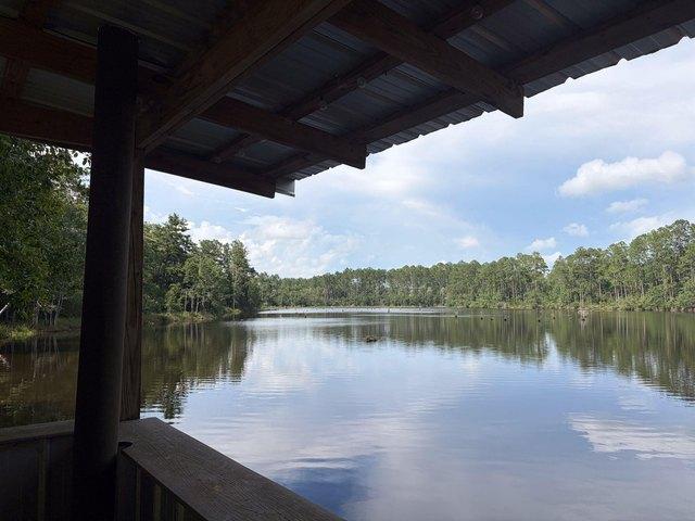 82 Acres 4 Flags Rd, Laurel Hill, FL 32567