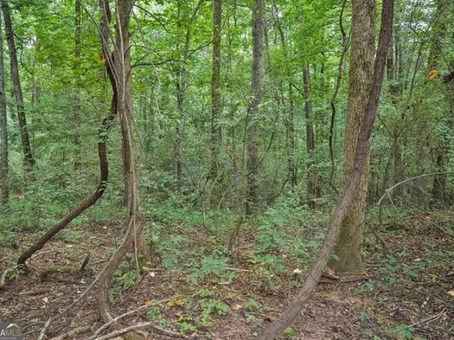 82 Askin Pl, Culloden, GA 31016