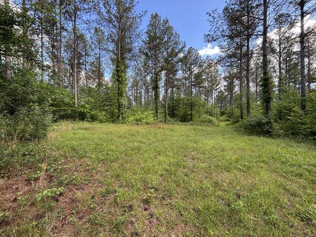 82 Bennie Camp Rd, Dunlap, TN 37327
