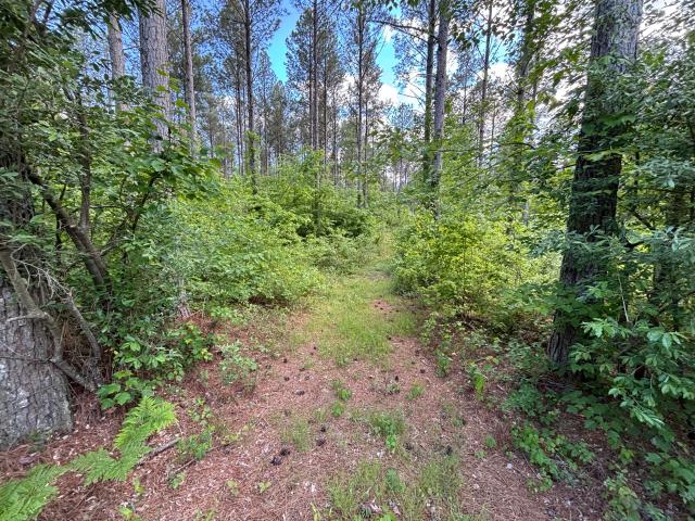 82 Bennie Camp Road