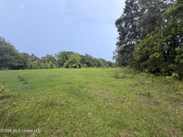 82 Sandpiper Road