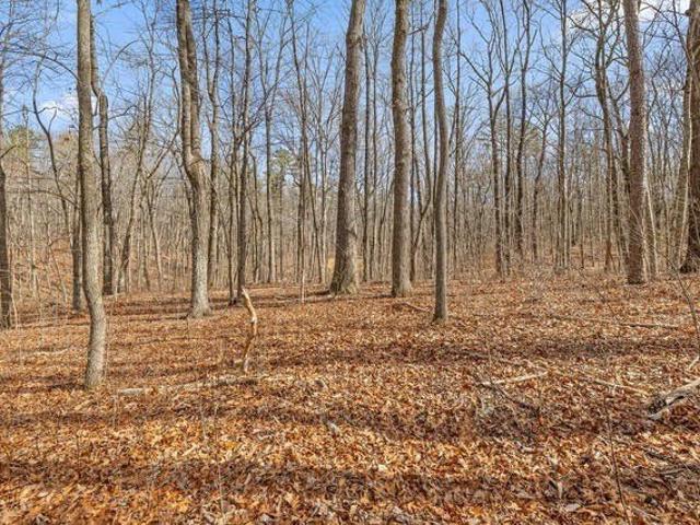 8307 Bear Paw Trl, Signal Mountain, TN 37377