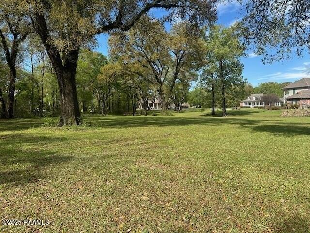 8301 River Rd Lot 2, Abbeville, LA 70510