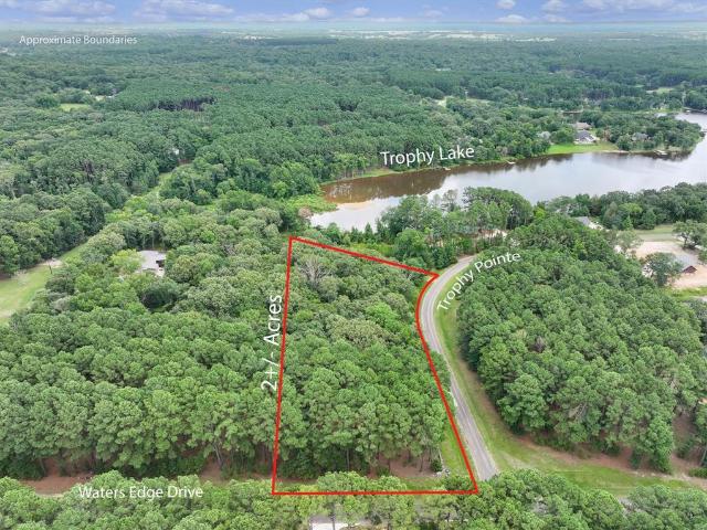 8301 Trophy Pointe, Larue, TX 75770 | MLS #21009
