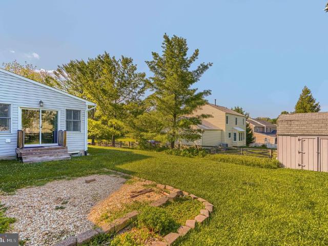 8301 Whitebark Court