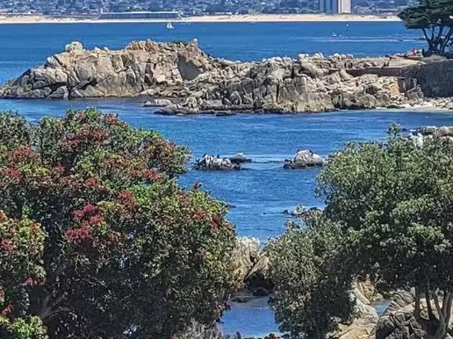 830 Balboa Ave, Pacific Grove, CA 93950 MLS# ML81967041
