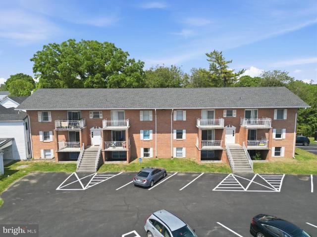 830 Locust Street # 6