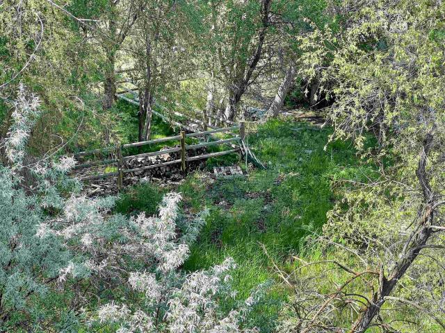 830 Snively Gulch Rd