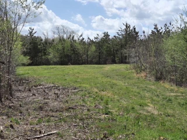 830 Twin Pines Overlook