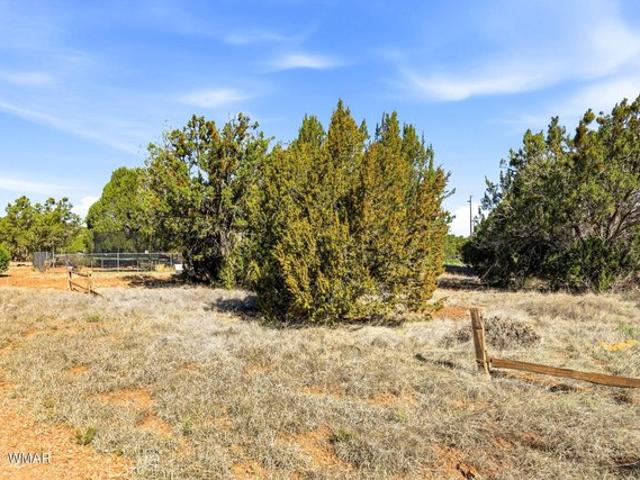 8318 Bear Meadow Dr, Show Low, AZ 85901