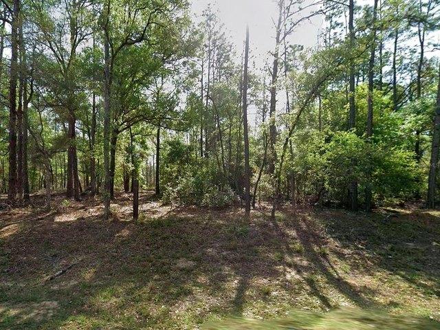 8319 N Yellowbird Ave, Citrus Springs, FL 34434