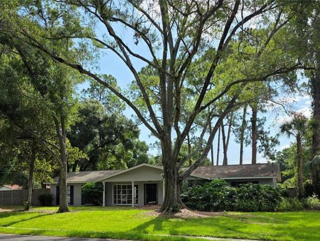 8313 Pat Blvd, Tampa, FL 33615