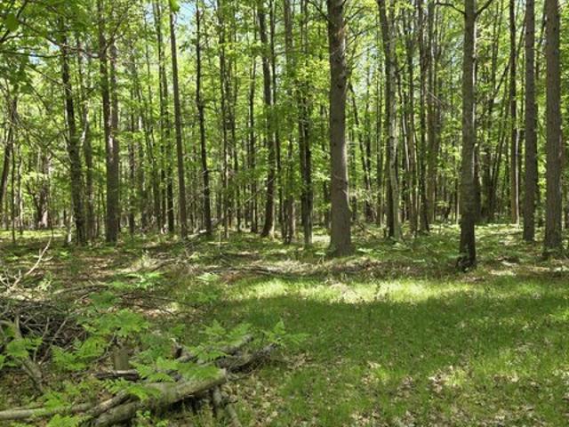 831 E London Rd, Harrisville, MI 48740