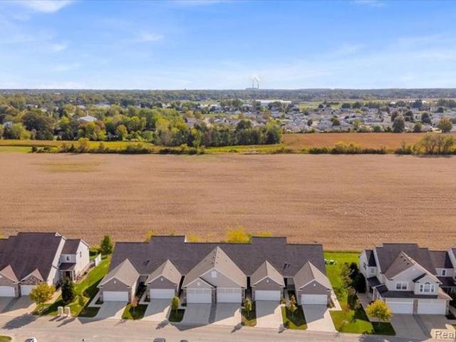 831 Plum Village Dr, Raisinville Township, MI 48161