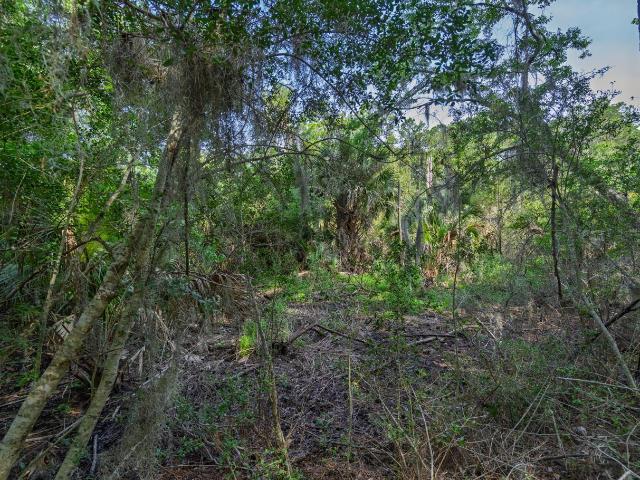 8326 Shell House Road
