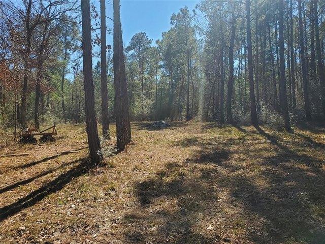 8327 FM 980 Rd, Huntsville, TX 77320