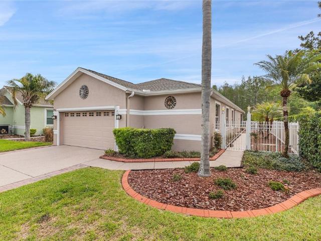 8328 Ponkan Rd, Land O Lakes, FL 34637 | MLS #W7884