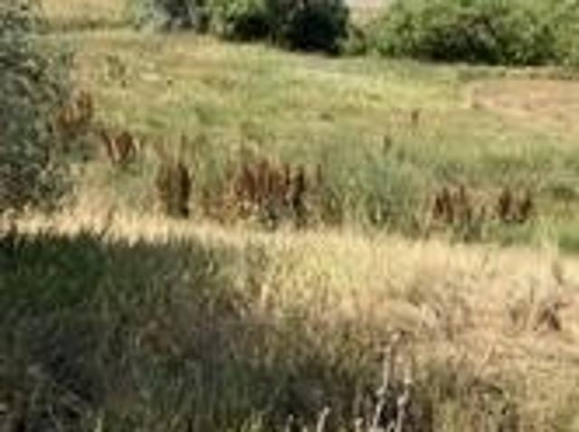 8328 S Carr Way Lot 27, Littleton, CO 80128