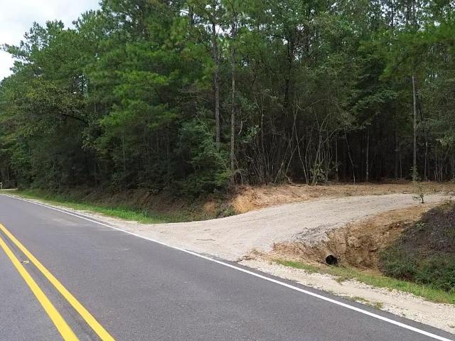 83234 Isabel Swamp Rd, Bush, LA 70431 | MLS #BR2025022
