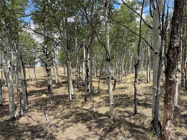 832 Ahlers Ln, Hartsel, CO 80449