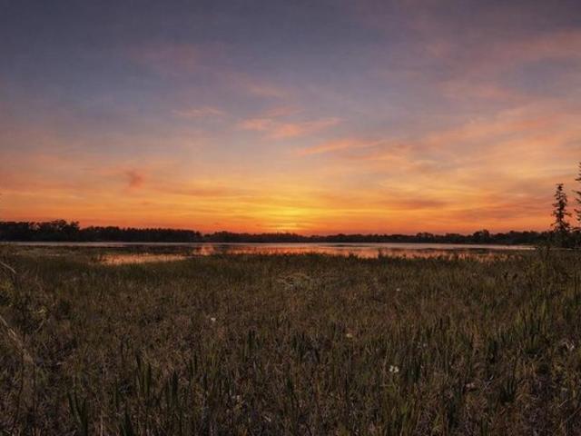 8335 Florida Boys Ranch Rd, Groveland, FL 34736