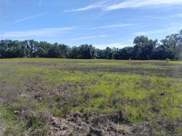 8335 th St, McAlpin, FL 32062 | MLS #GC532140