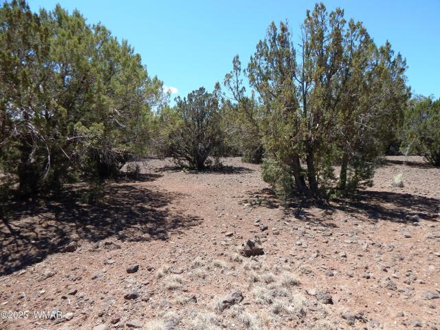 8337 Navajo Drive