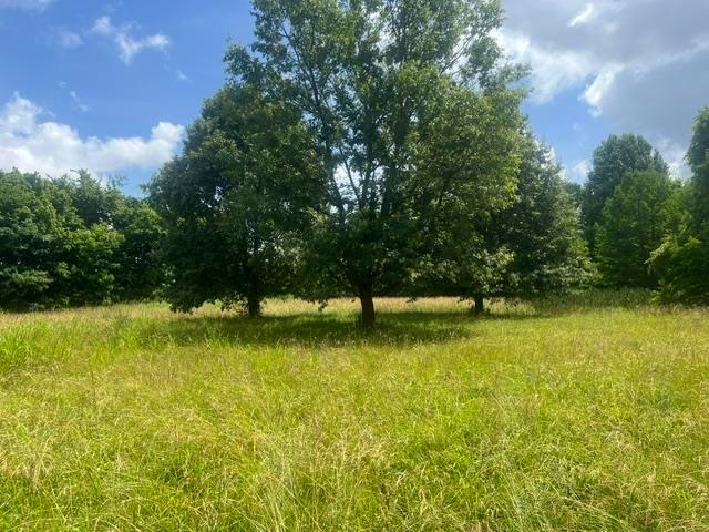 8330 18 HWY S