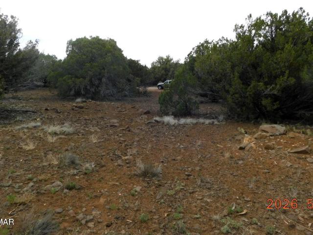 8333 Ridge Drive