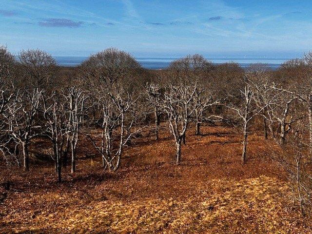 834 State Rd, Aquinnah, MA 02535
