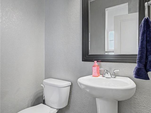 8355 Colorado Spruce Lane