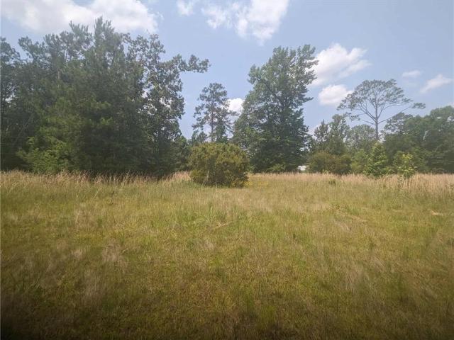 83582 Holliday Rd, Folsom, LA 70437 | MLS #2505