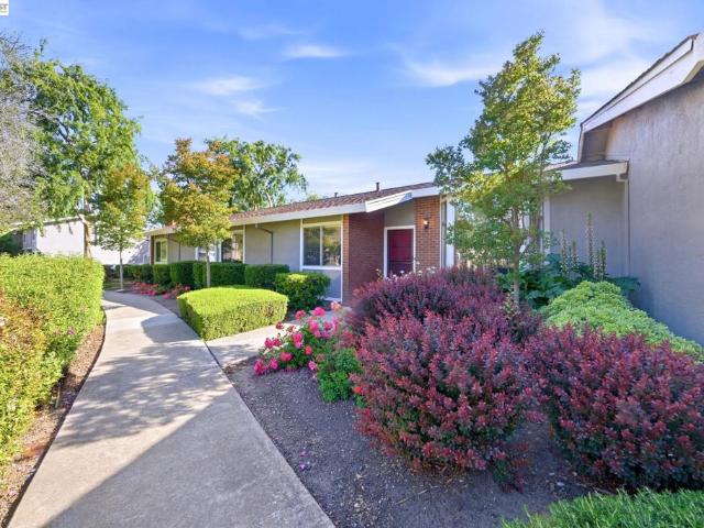835 Royal Ann Lane