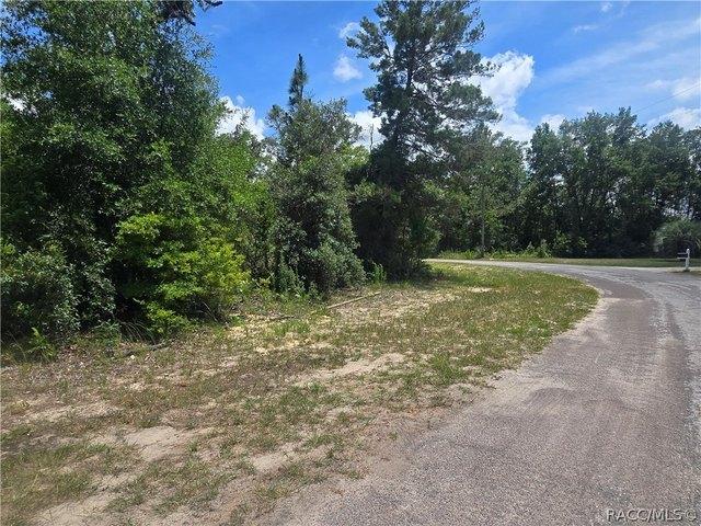 8365 N Ibsen Dr, Citrus Springs, FL 34433