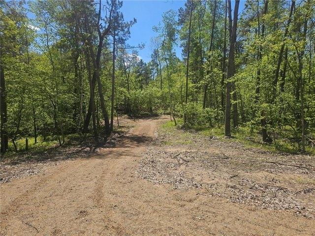 8366 Hidden Creek Ct, Pequot Lakes, MN 56472