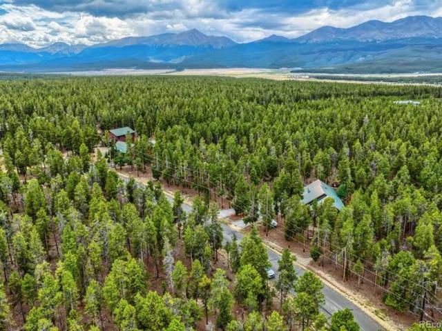 836 Baby Doe Dr, Leadville, CO 80461