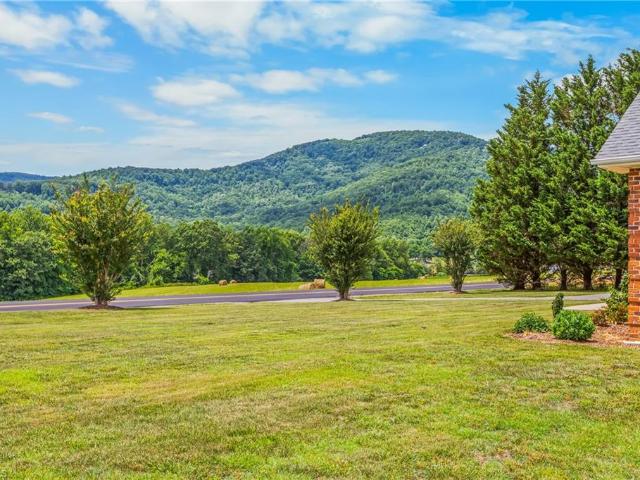836 Bear Trail