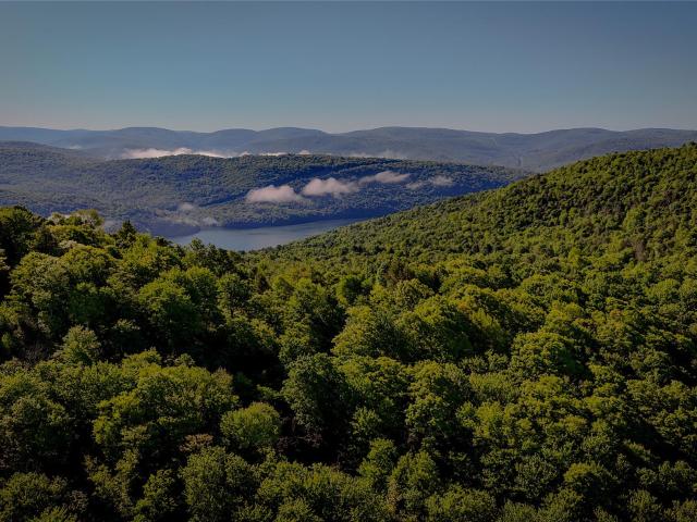 836 Emerald Lake Road