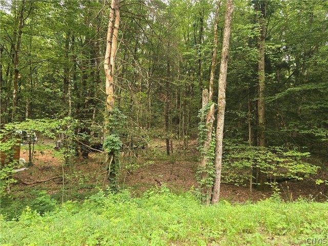 8376 Dixon Rd, Camden, NY 13316