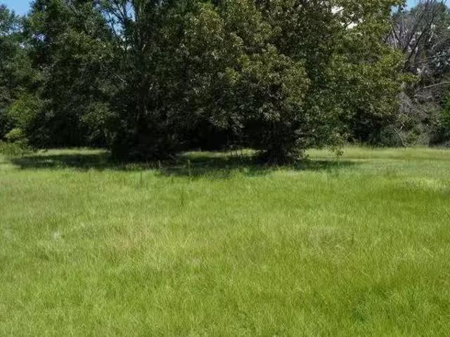 8370 QUEEN LN, ORANGE, TX 77632 Vacant Land For Sale MLS# 249.